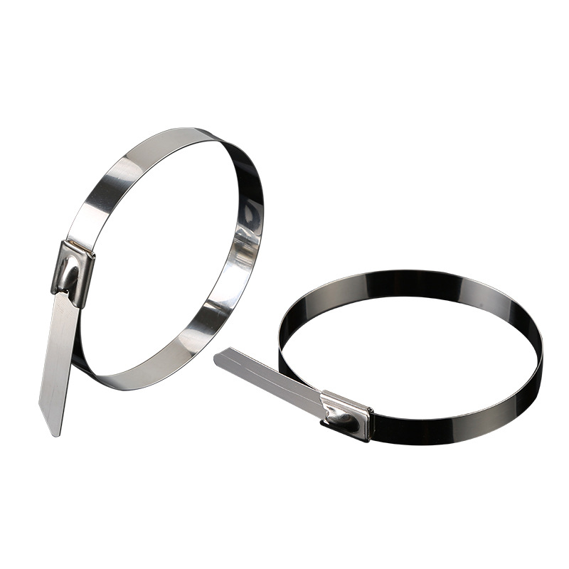 Fascette metalliche 300x7,9 mm, fascette in acciaio inox argentato per ...