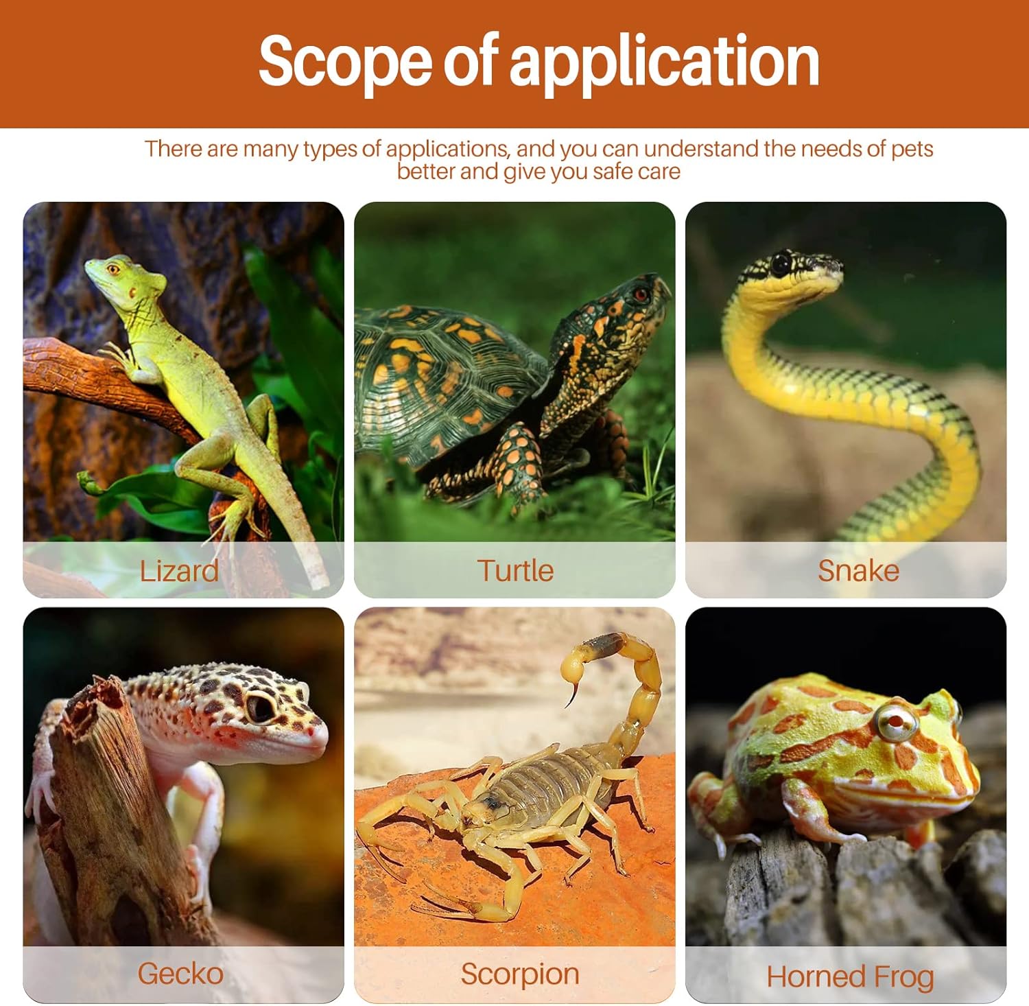 Reptile Heat Mat with Thermostat, Adjustable Terrarium Heating Pad for ...