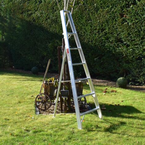 Step ladders