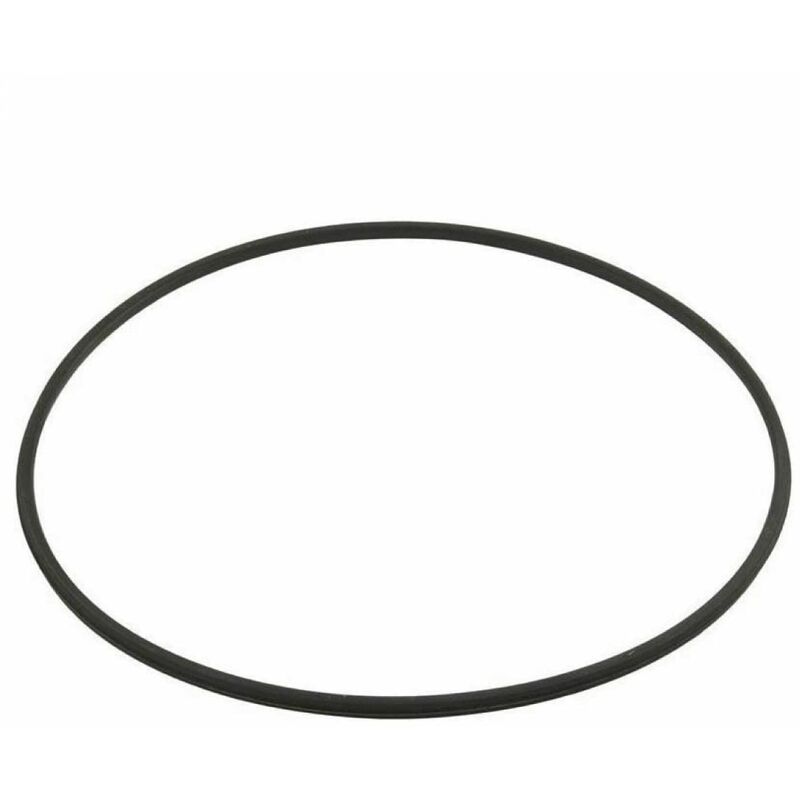 Joint torique de corps de filtre - Noir - DEX2422Z2 - Hayward