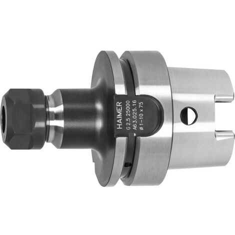 Mandrel con Din69893A-ER HSK-A63 25x100mm Haimer