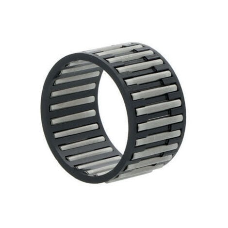 Gruppo rullini e gabbia 10mm OD 9mm ID 6mm INA