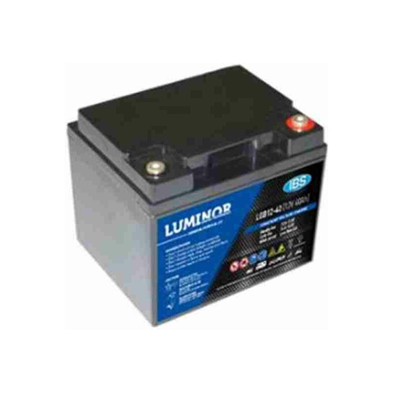 Batterie VRLA Pb AGM Energy Safe Cyclic Series 12 V 75,8 Ah C20 (FM6)