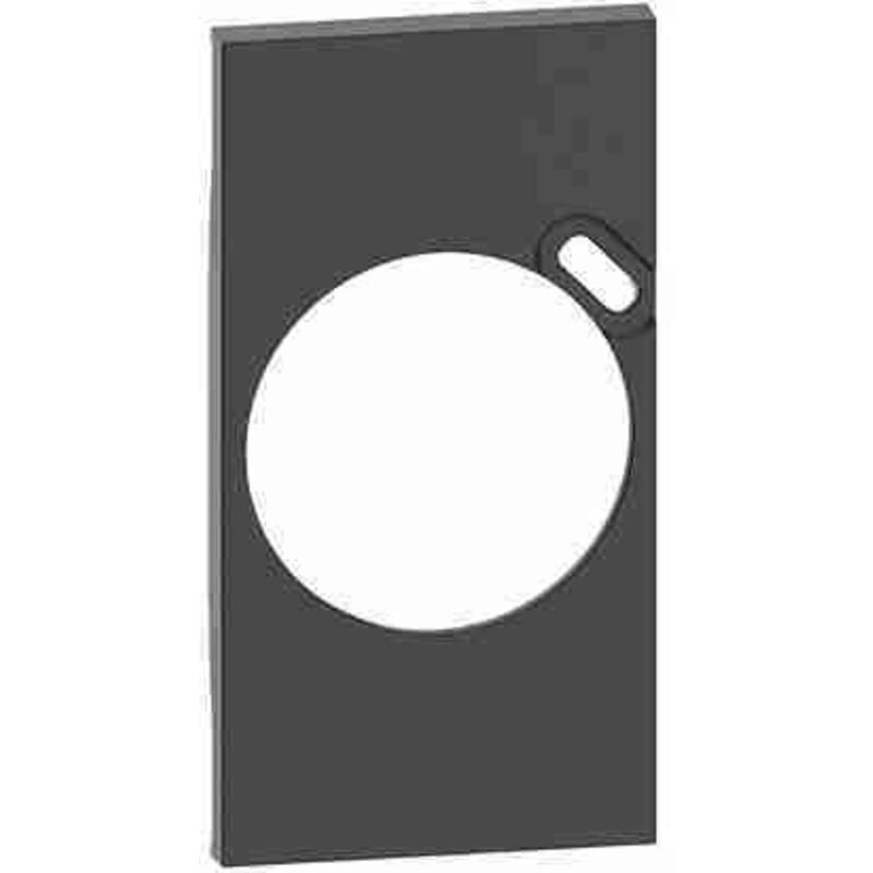 Cache BTIKG62 pour prise combinée F/B+USB - 2 modules, noir