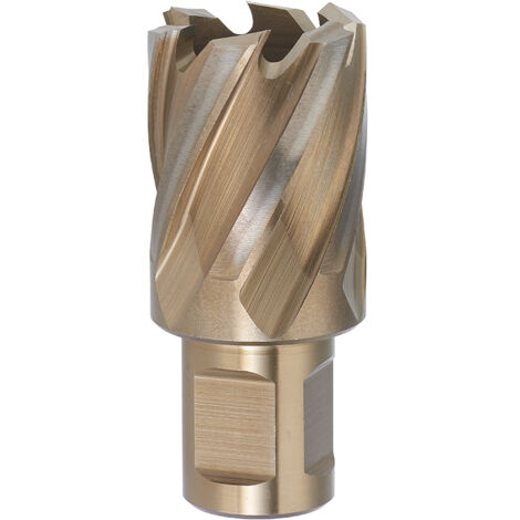 Broca de nucleo con accesorio Weldon diametro 12 mm Fervi F002/12