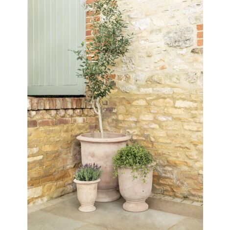 3 x Garden Trading Ubley Planters Terracotta Garden Tall Flower Pots
