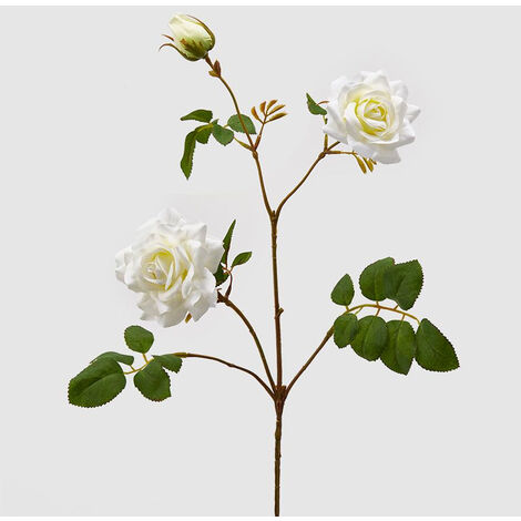 ROSA MARA REX RAMO 73CM AVORIO EDG