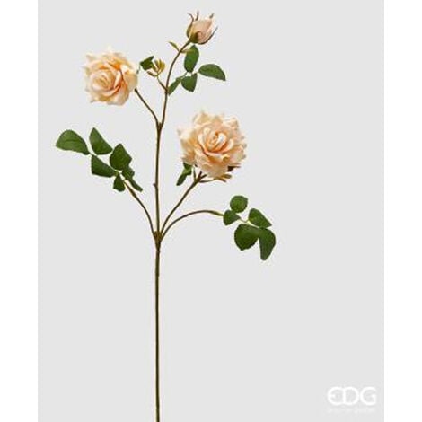 ROSA MARA REX RAMO 73CM PPESCA EDG