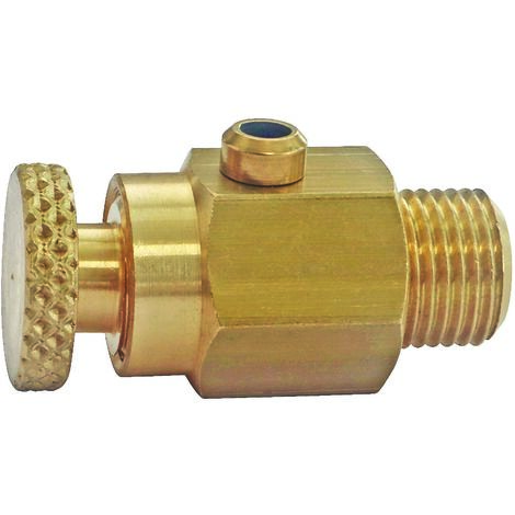 Purgeur d'air M8x13 (1/4") à pointeau et volant molette