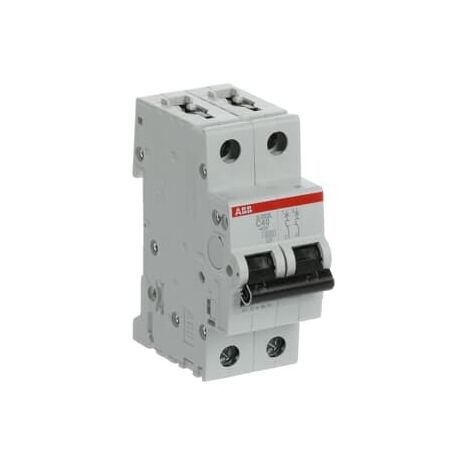 ABB S202L-C40 Interruptor automático 2P 40A - C - (CA) 4,5 kA