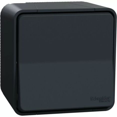 Schneider MUR35021 Interruttore on/off a parete Mureva Styl, completo ...