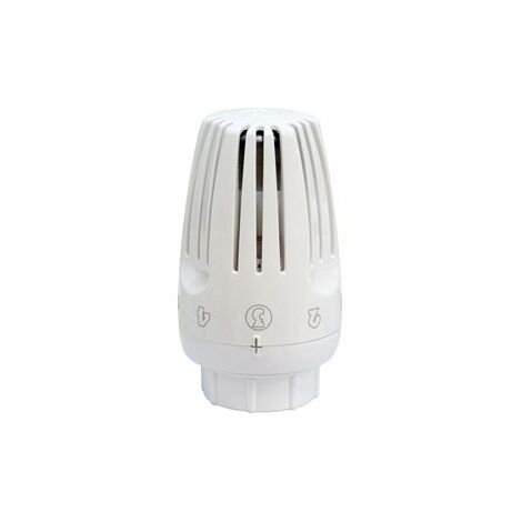 Giacomini R469H Liquid bulb thermostatic head