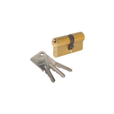 Vachette Assa Abloy 7100 Cylindre DOUBLE LAITON 40X40 17158000 with 3 keys