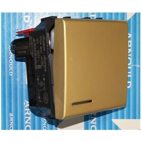 Arnould 25222 Satin Gold Luminous Switch - 2 Modules - S.Living
