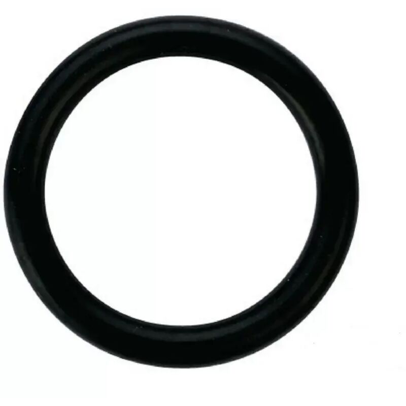 Saunier Duval 54517 O-Ringe (x10) – schwarz
