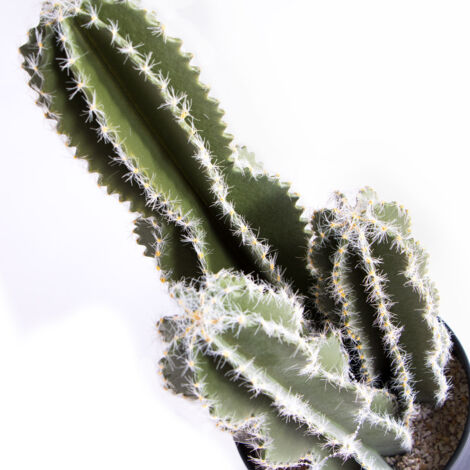CACTUS CASTILLO DE HADAS 62 CM NORTENE
