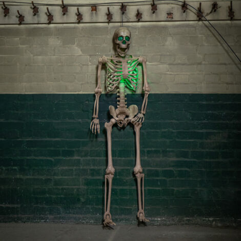 5ft (152cm) Battery Powered Light up Halloween Skeleton with Poseable ...