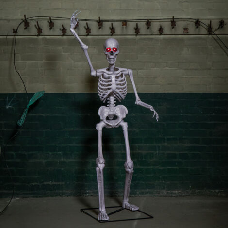 5ft (1.5m) Full Body Halloween Standing Skeleton with Posable Joints ...