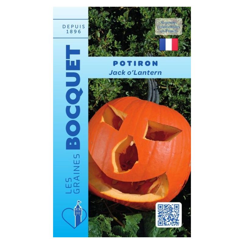 Potiron Jack O'Lantern - 5g