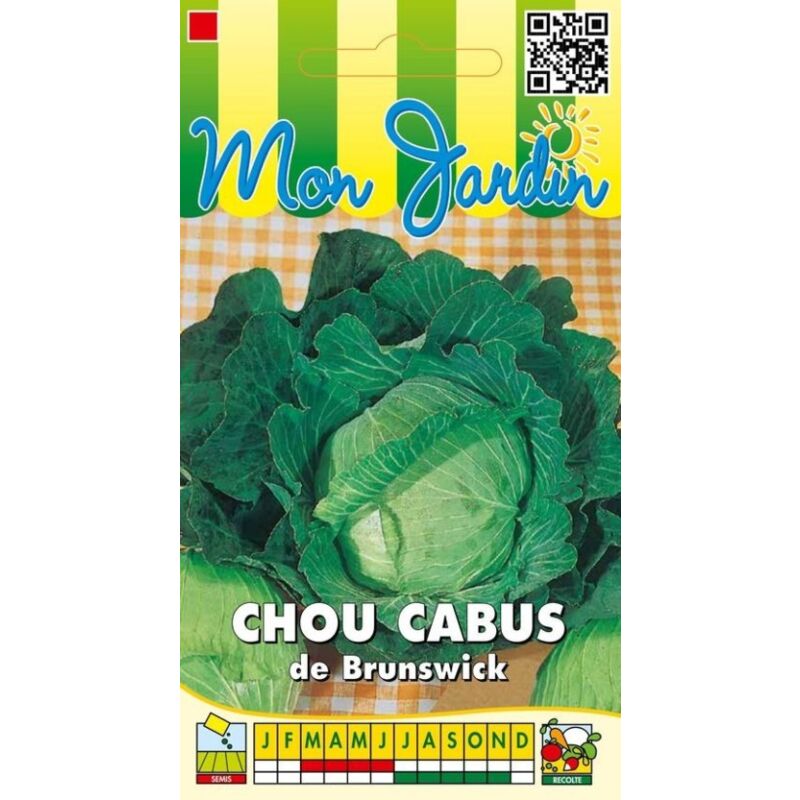 Chou cabus de Brunswick - 3g