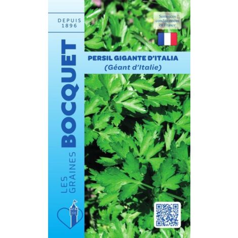 Persil simple géant d'Italie - 5g