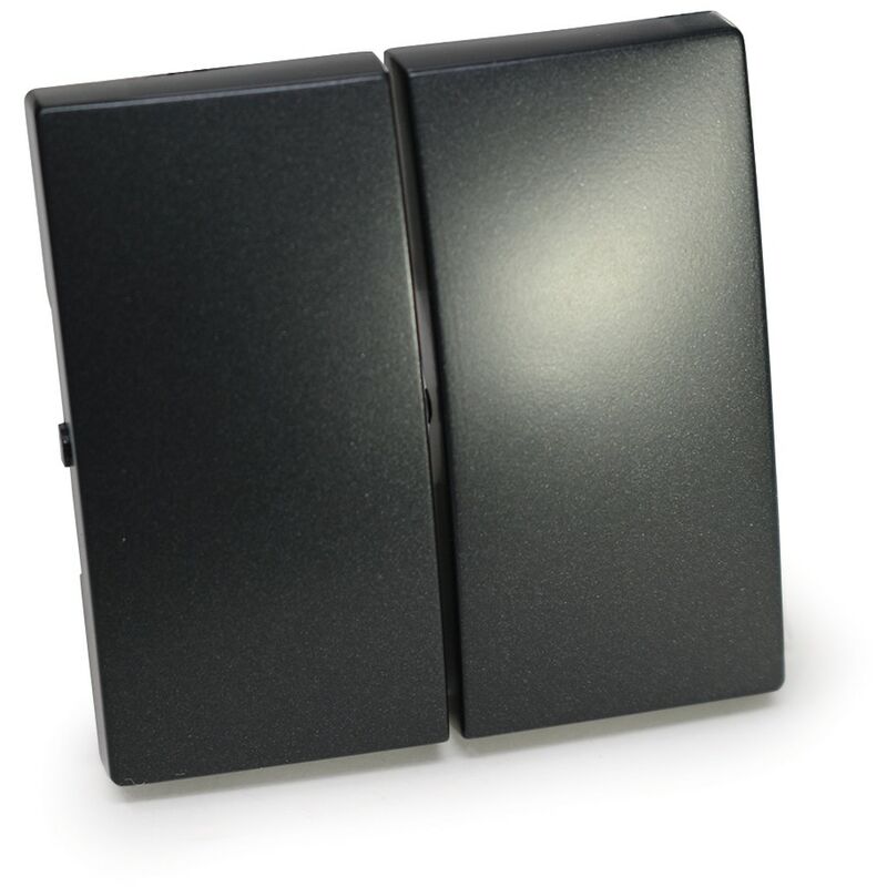 Tecla interruptor y conmutador doble serie Atmoss Dynamic S30 color ...