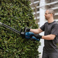Taille haie sans fil GHE 18V-60 - BOSCH - sans batterie - 06008C9000