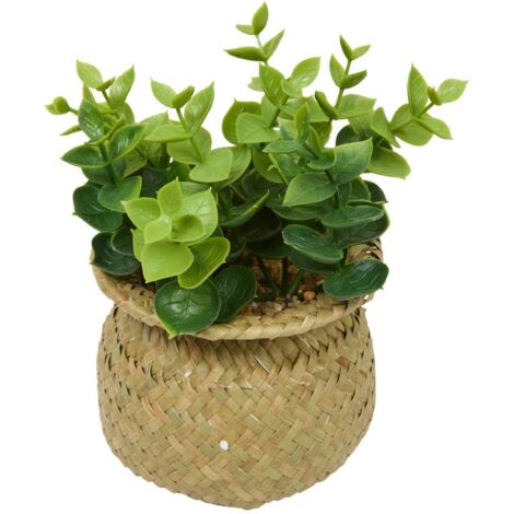 Planta artificial en maceta Jil 10x10cm - Atmosphera créateur d'intérieur