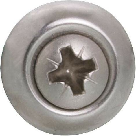 vis avec joint EPDM et rosace A2 4,5 x 55 en sachet de 100 pcs