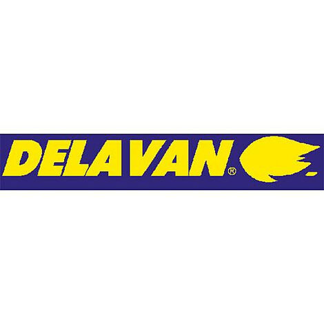 Gicleur Delavan 1,50/30°A