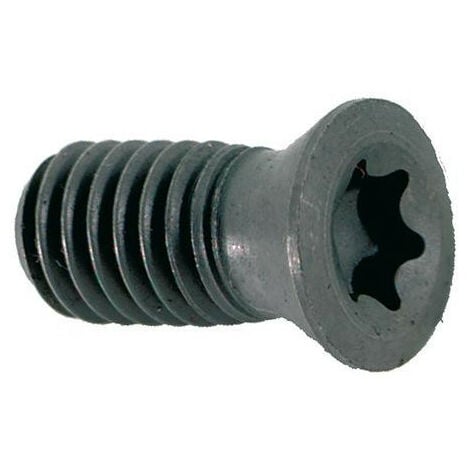 Tornillo Torx para D. 25 mm