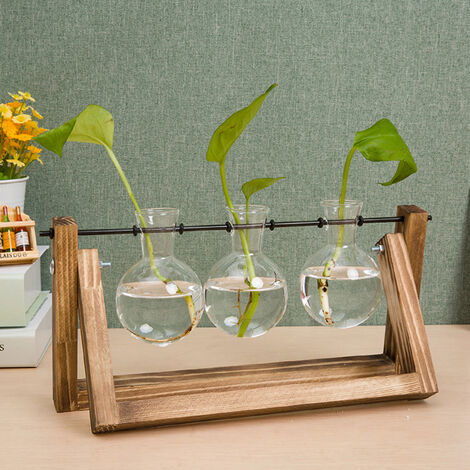 Modern 3pcs Bulb Glass Terrariums with Wood Stand Set