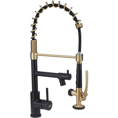 Swivel Kitchen Mixer Tap Dual Spout with Pull Down Sprayer and Pot ...