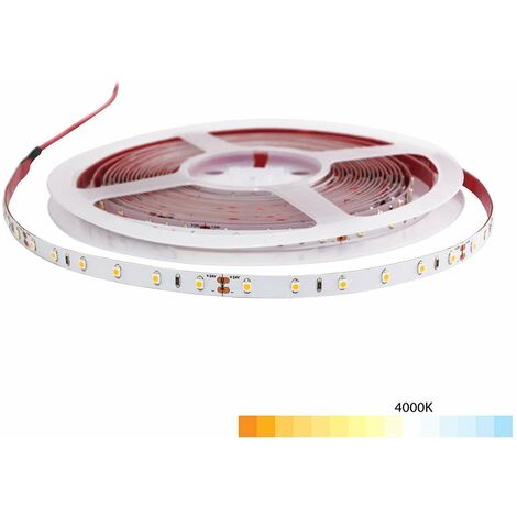 Nastro LED bianco 24V 60LED/m 4.8W/m 5m - Bianco Naturale 4000K