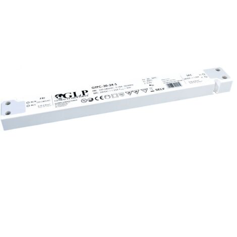 LED DC24V 30W GLP