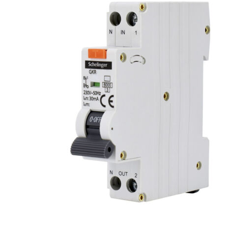 Interruttore differenziale 25A - Tipo A - 30 mA - 1P - Curve C - GAIN ...