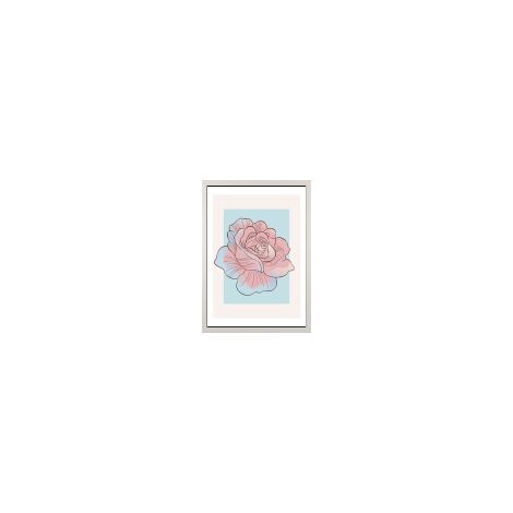 Poster d'Art - Fleur De Cendrillon Rose - 30x40 cm
