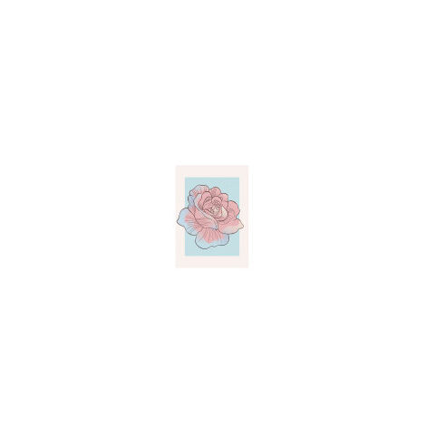 Poster d'Art - Fleur De Cendrillon Rose - 50x70 cm