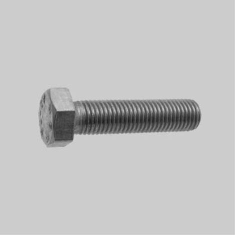 Bullone t.e. inox 6x60 (100 pezzi)