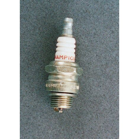 CANDELA X TOSAERBA CHAMPION J17LM 3210062(J19 GGP ITALY PZ 1