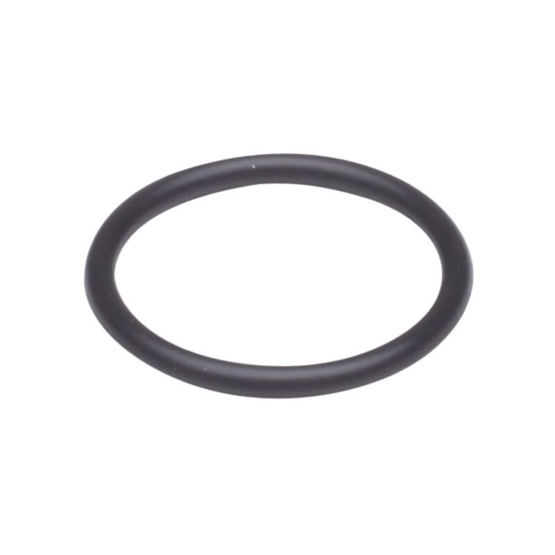 Danfoss O-Ring für RLV-KS