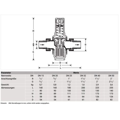 Resideo Druckminderer D06FI mit Einstellanzeige, Edelstahl, B, R2