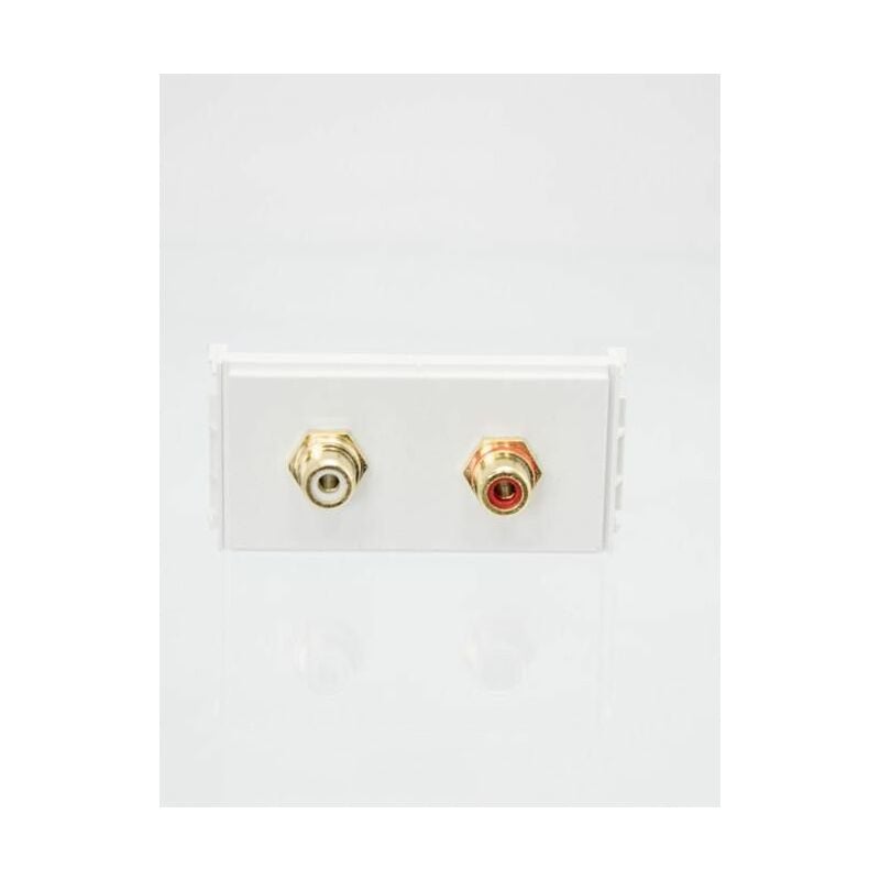 Outlet 2xRCA Audio Panel