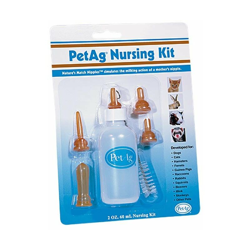 Kit d'allaitement 2 oz. 60 ml pour l'alimentation artificielle des ...