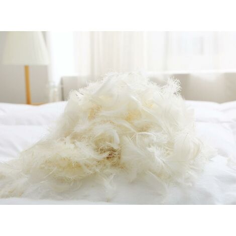 Duck Feather and Down Pillow Pair Soft Cosy Pillow Natural