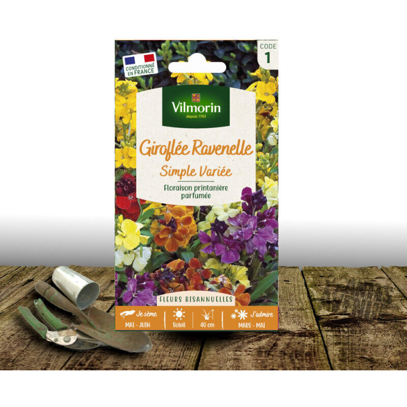 Graines de Giroflée ravenelle variée