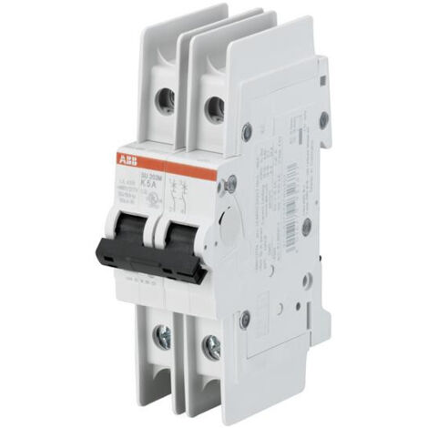 Disjoncteur miniature bipolaire ABB 32A courbe K pour armoire UL489 ...