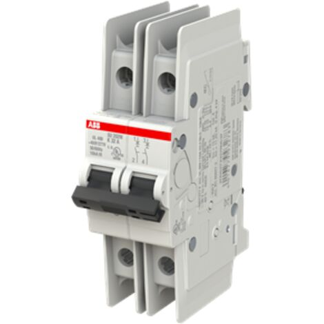 Disjoncteur miniature bipolaire ABB 32A courbe K pour armoire UL489 ...