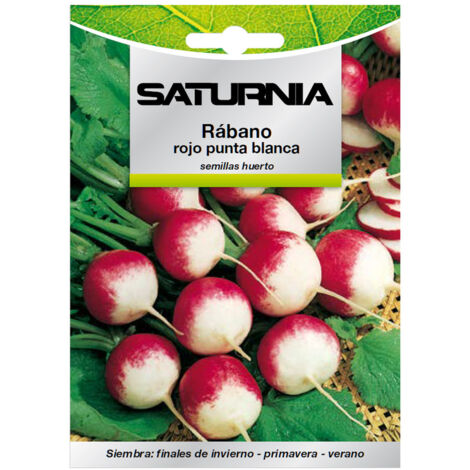 Semi di ravanello grande rosso (raphanus sativus radiciula)