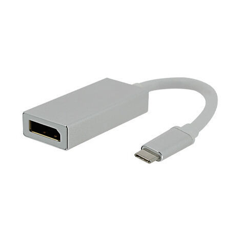 Adaptateur USB-C™ vers DisplayPort - FUJIONKYO - 423412
